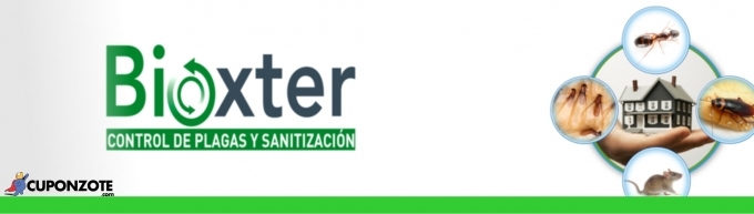 Depilación Láser | Tinte, Corte + Ampolleta | Consulta Para Pie ...