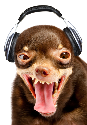 It's the return of DJ Dental...