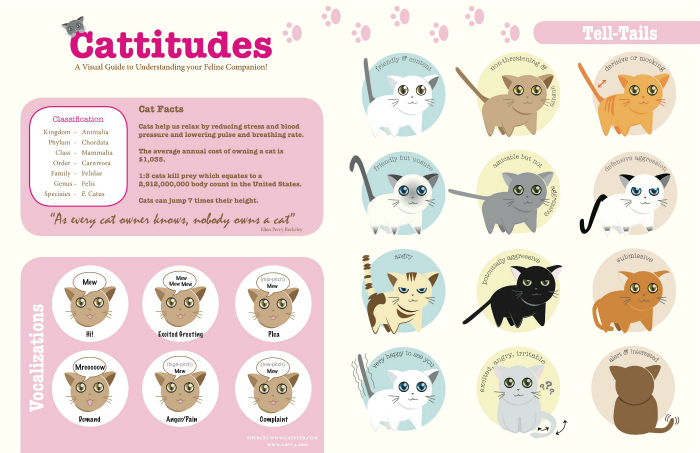 New Today from MyThreeCats.com - Does Your Cat Have a "Cattitude"?