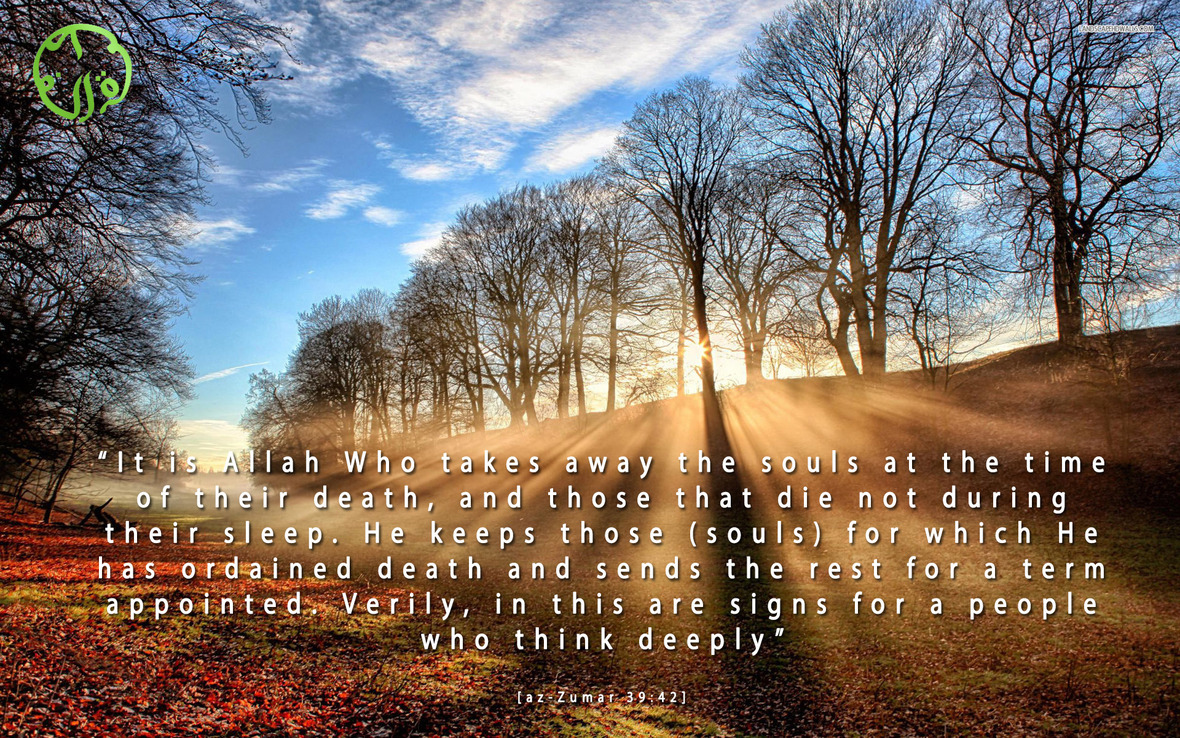 Assalaam - Waking from a slumber...