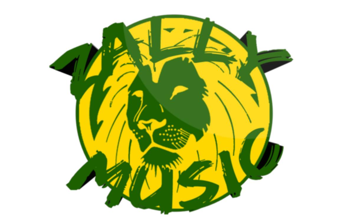 ZALLY - Interviews & Press