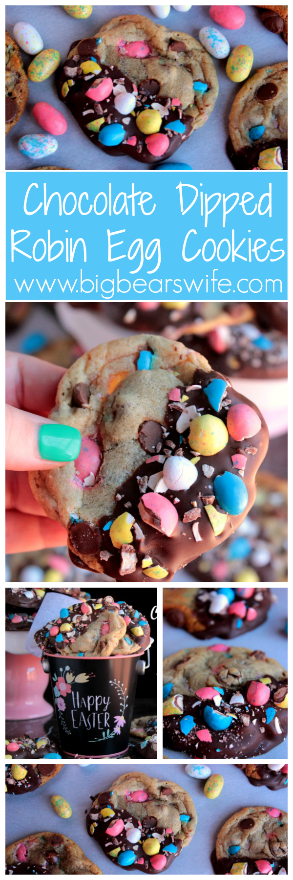 CHOCOLATE DIPPED ROBIN EGG COOKIES from BigBearsWife.com