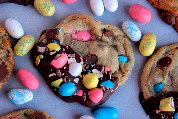 CHOCOLATE DIPPED ROBIN EGG COOKIES from BigBearsWife.com