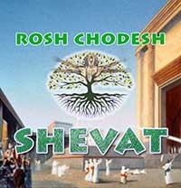 The First of the Months of the Year