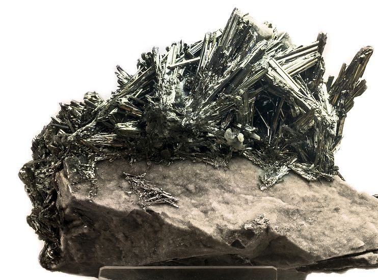 Overindulgence & Hangovers | Autism: Part 1 - Homeopathy and Treatment ...