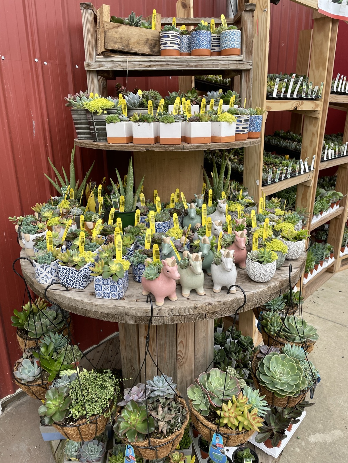 Easter Bunny is Coming ! + New "Cat" Trees