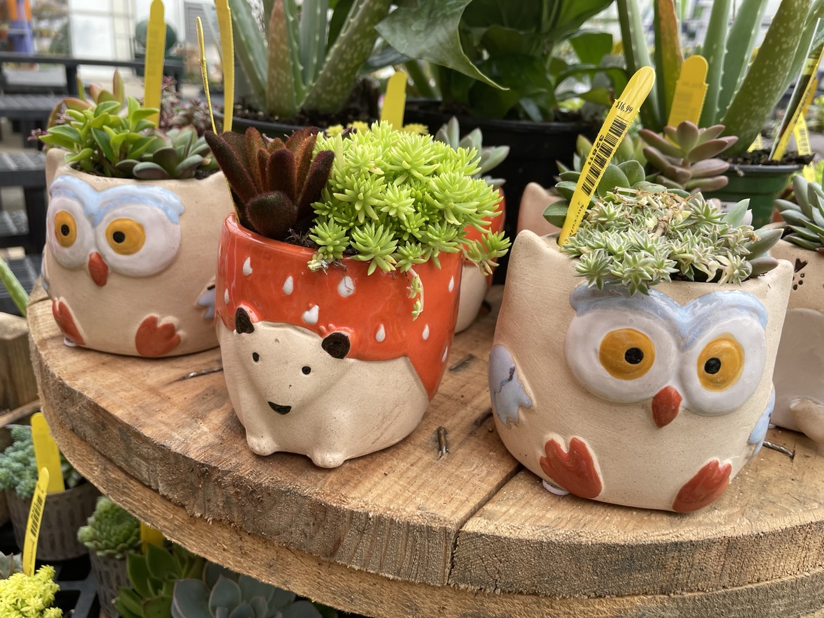 Easter Bunny is Coming ! + New "Cat" Trees