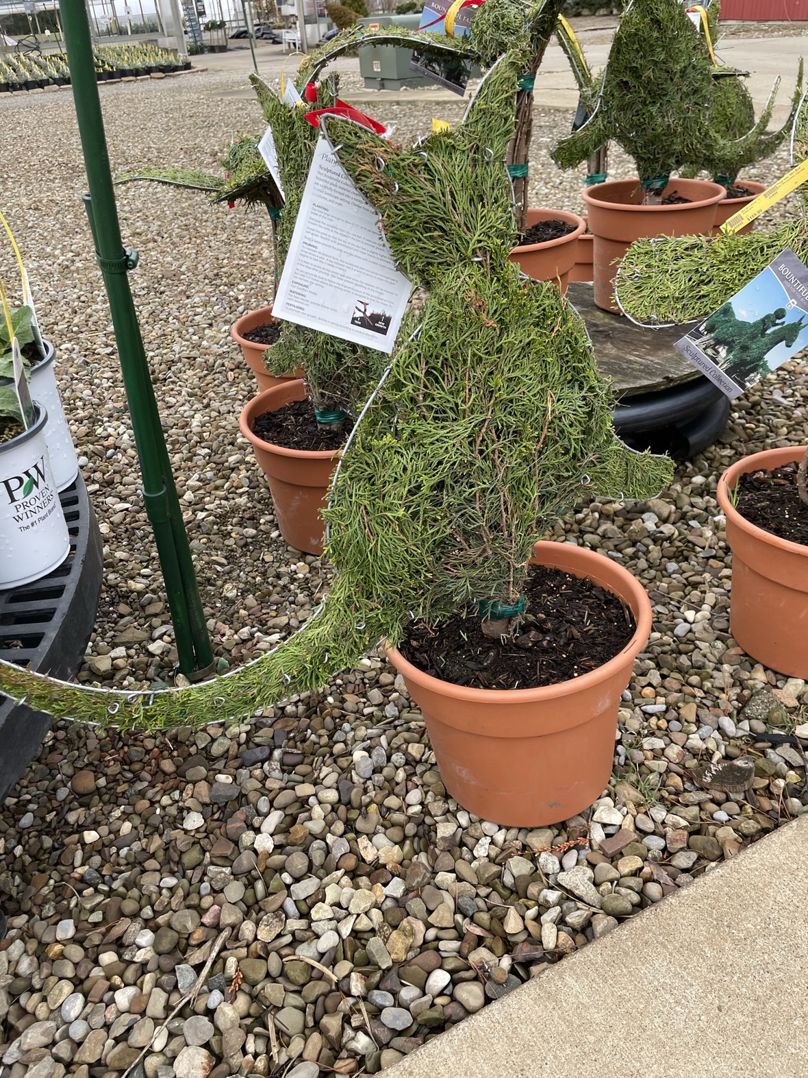 Easter Bunny is Coming ! + New "Cat" Trees