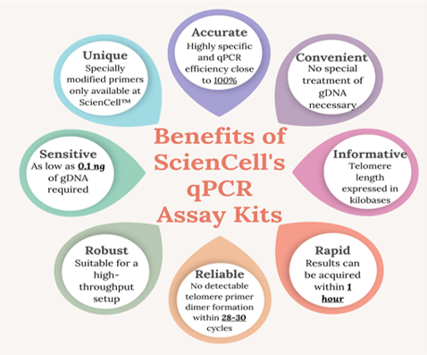 [YSI News] ScienCell’s Telomere Quantification qPCR Assay Kit! > 자료실 ...