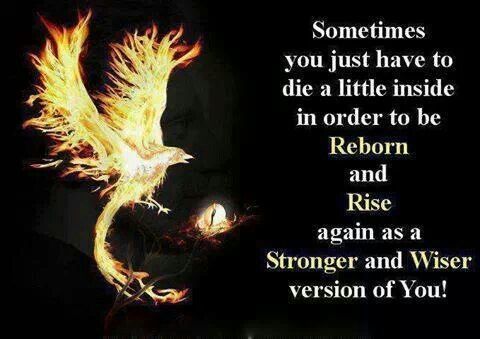 Ascension, Alchemization, and Transformation ~ You Are Made For A ...