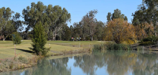 ausgolf e-newsletter - November 2022