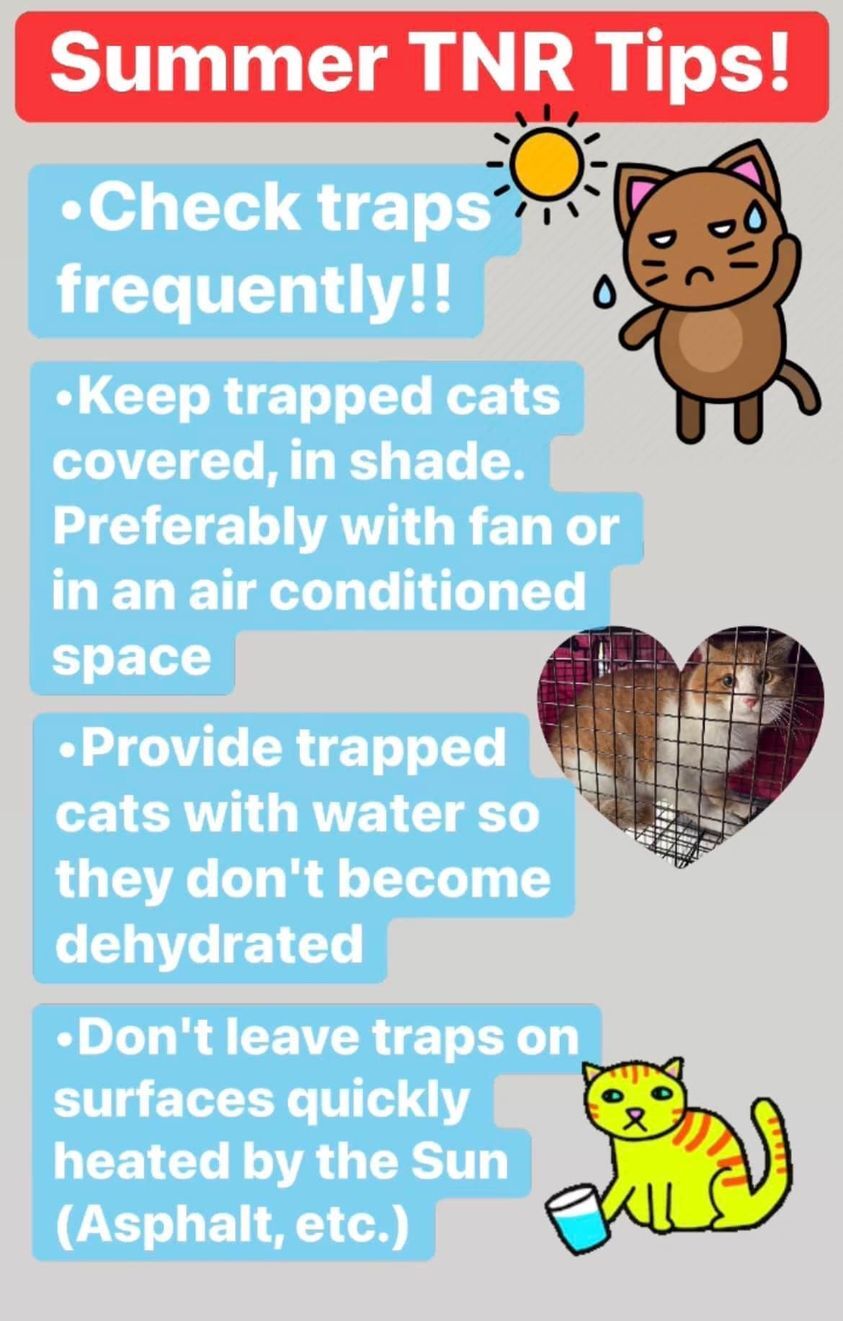 Happy Father's Day from PALS