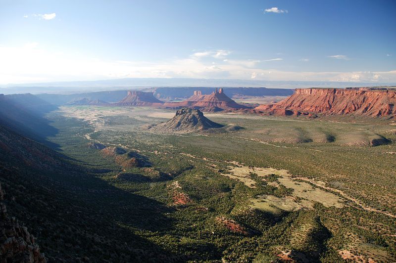 Weekly Update: March 21, 2024