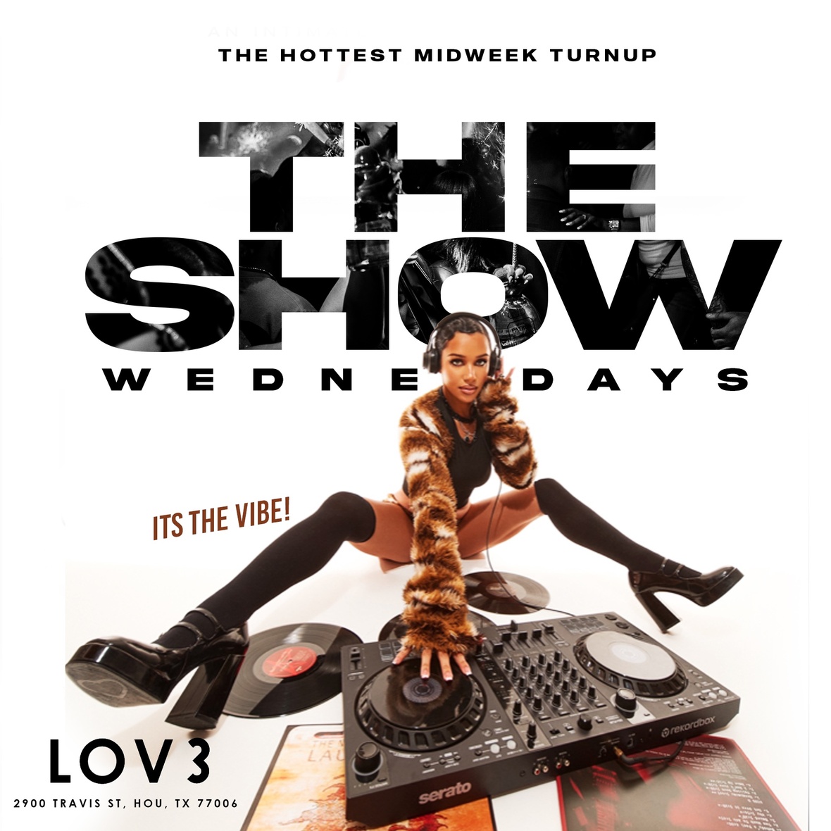 houston, party, people, concerts, nightlife, where to go, what to do ...