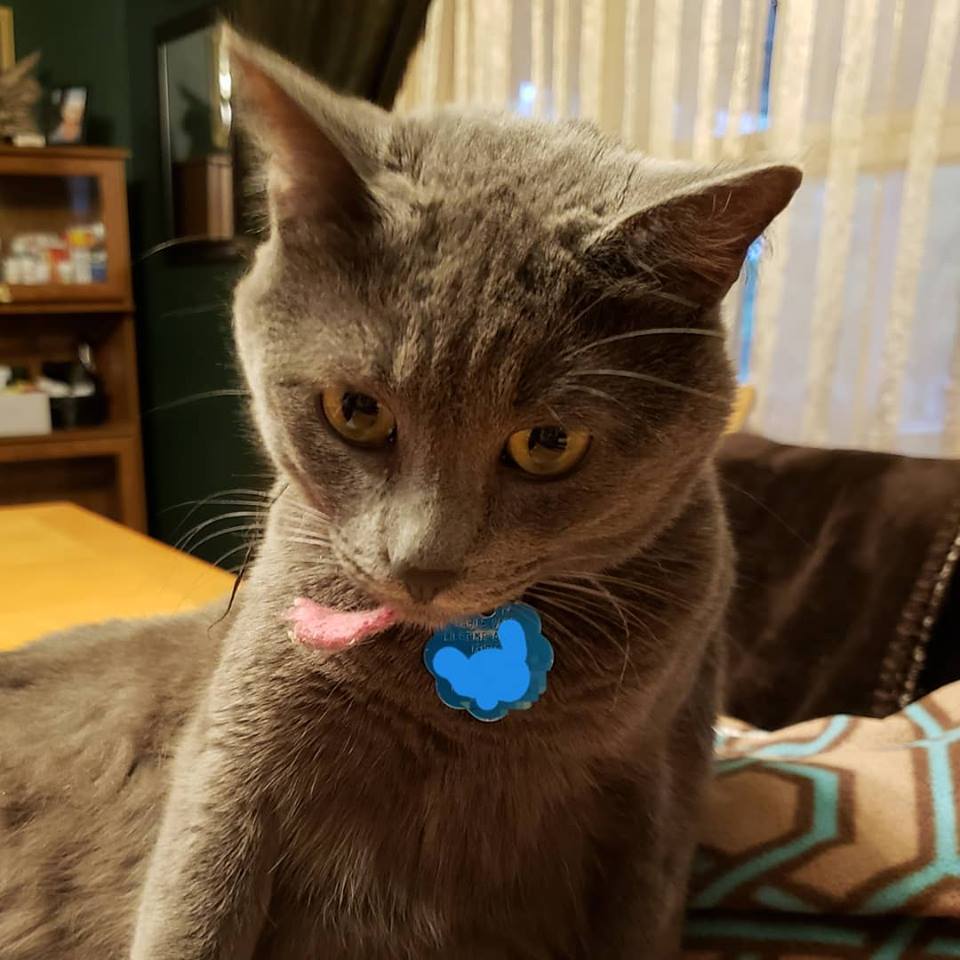 What in world has Sunny got herself into this time? My Peculiar Road ...