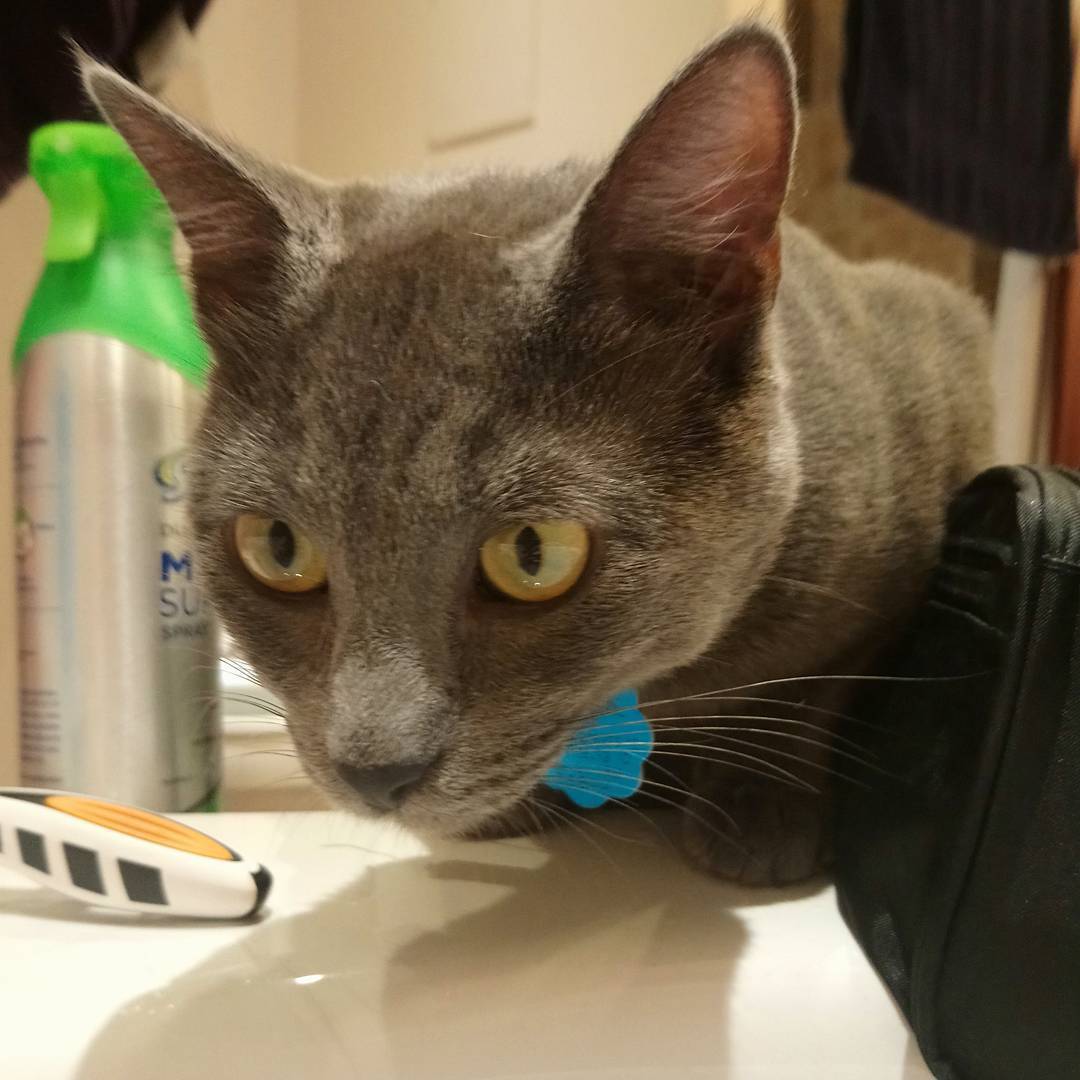 What in world has Sunny got herself into this time? My Peculiar Road ...