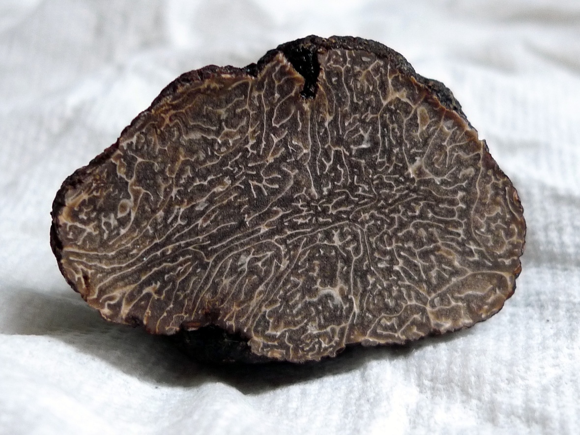 Fresh Black Winter Truffles are peak of season! Special order for this ...