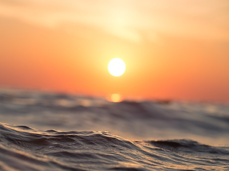 Reversing Autism | Homeopathy for Sports Injuries | Inaugurates ...