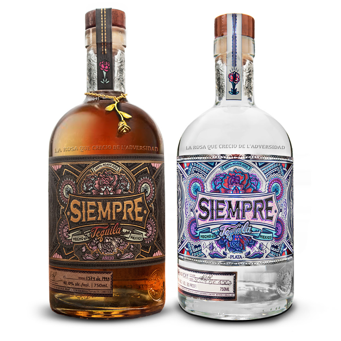 They risked it all, it was worth it. Meet the world's most beautiful ...