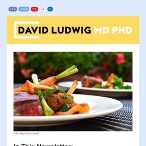 ALWAYS HUNGRY Book Newsletter!